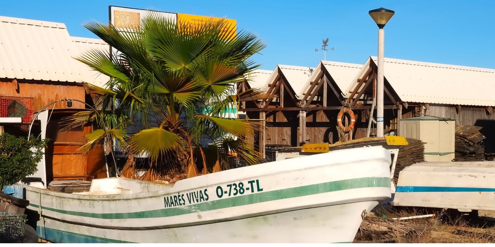 Culatra Island : Authentic Fishing Tradition in Algarve - Amo-te Olhão